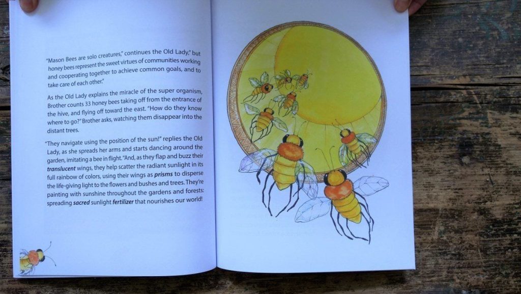 Celebrating Honey Bees children’s book – eBook – Y on Earth Community
